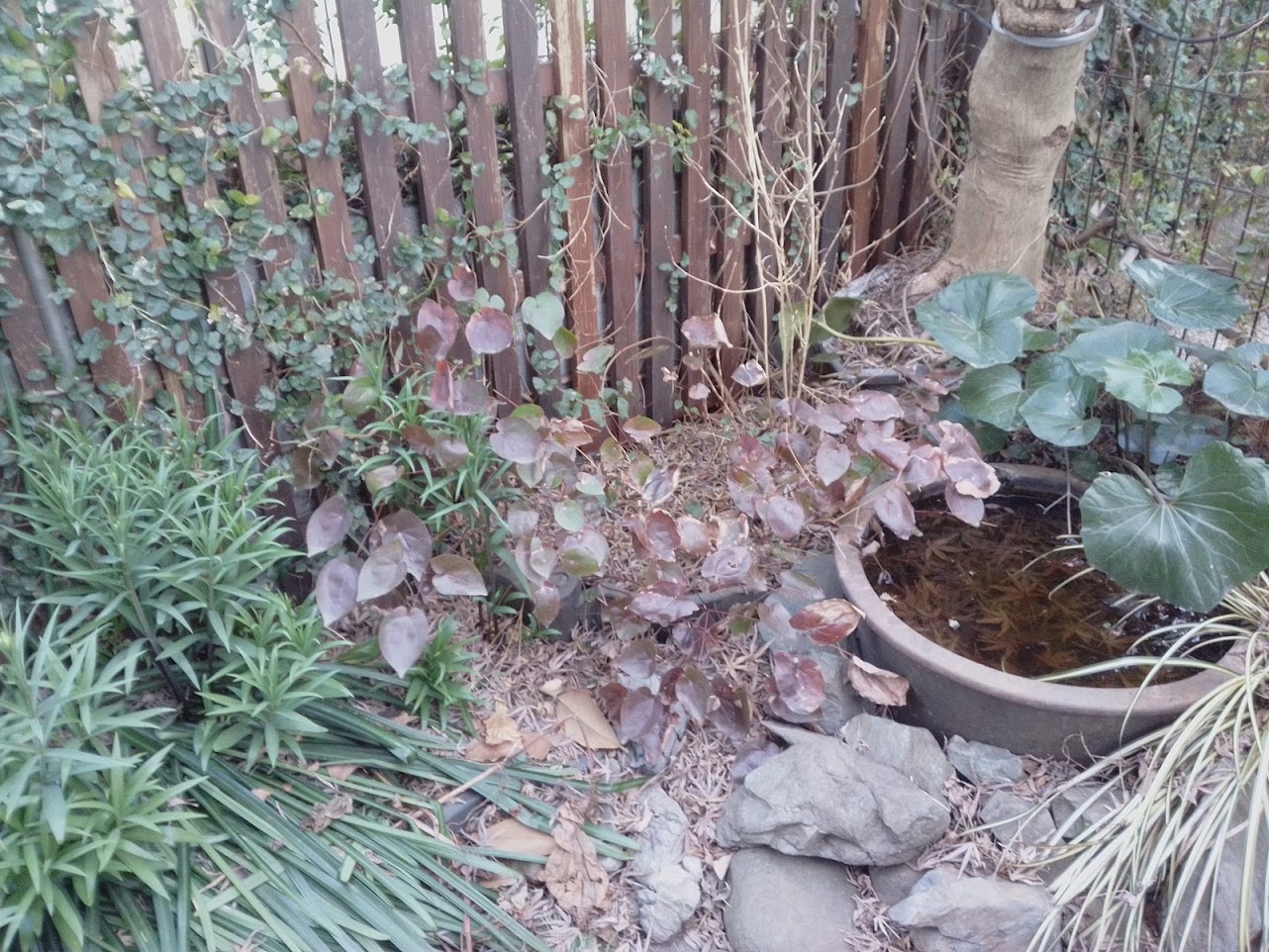 【レビュー】DOOGEE T10を実機レビュー！安いわりに高性能なタブレット。 | TEKUNOTES | テクノーツ